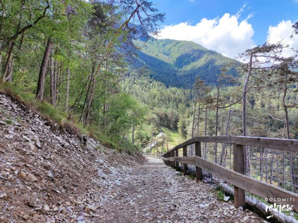Il ponte tibetano del Cadore: la passerella sospesa di Perarolo e la ...