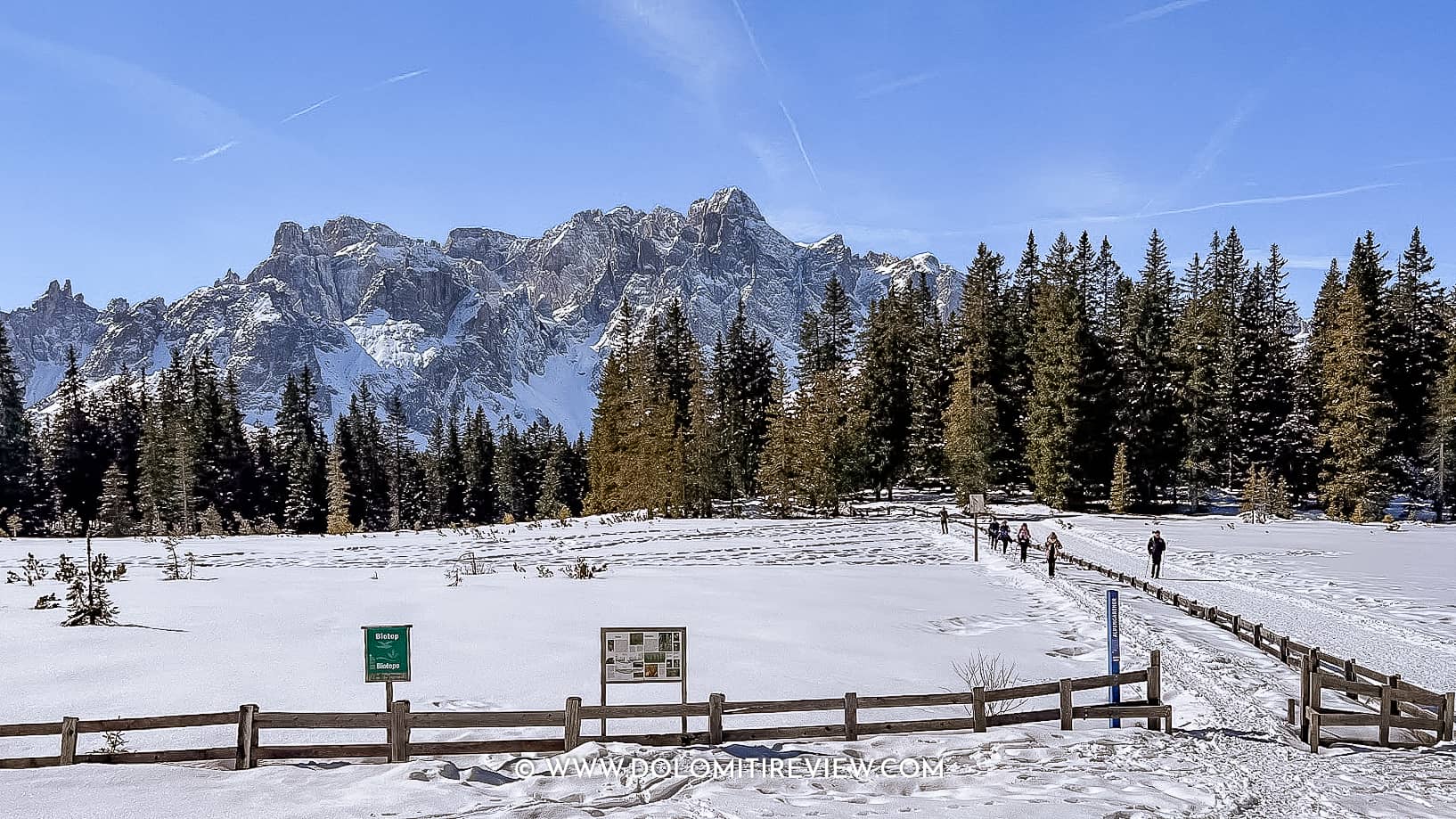Malga Nemes e Coltrondo: escursione invernale ad anello dal passo Monte ...