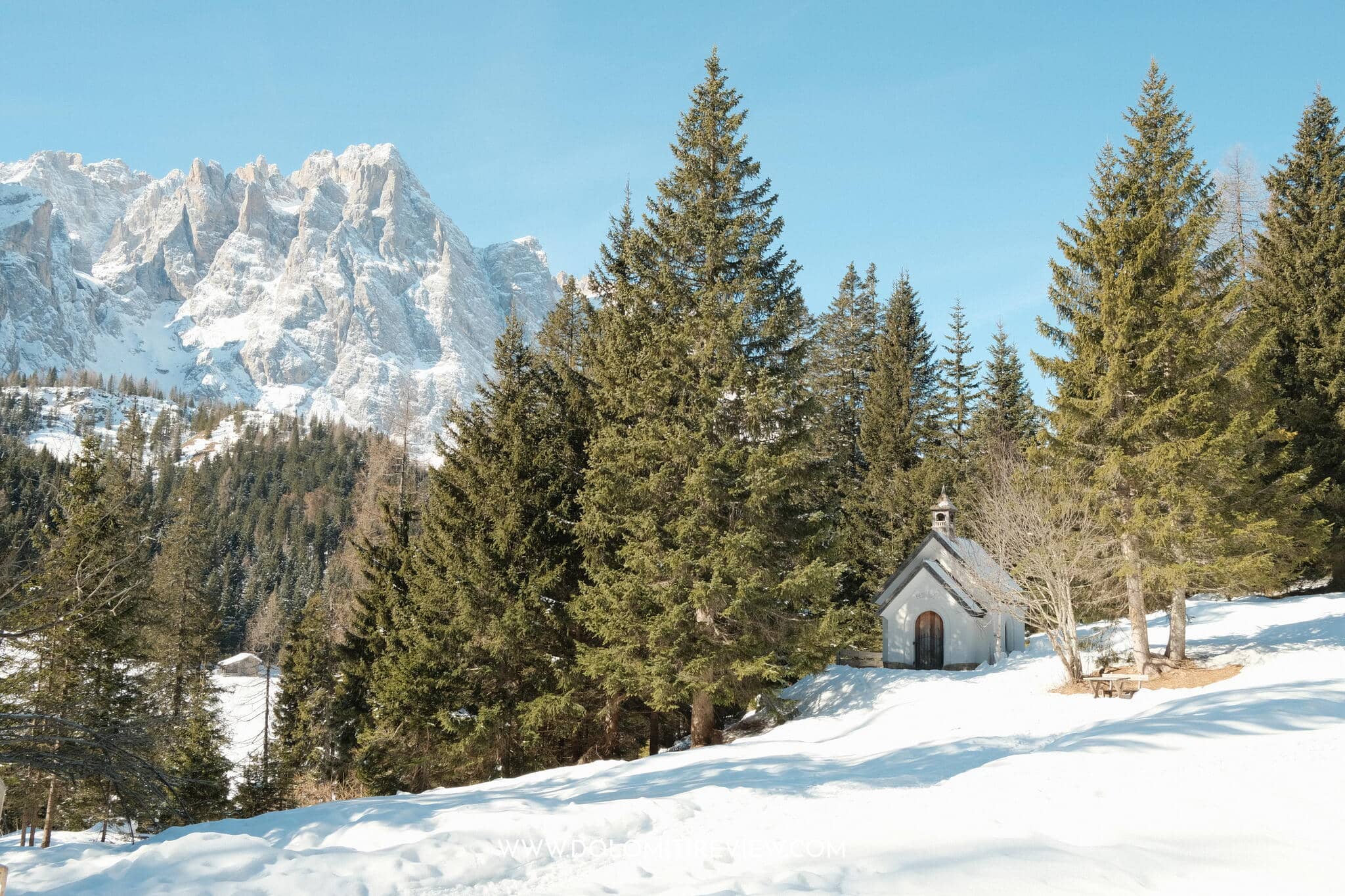 Malga Nemes e Coltrondo: escursione invernale ad anello dal passo Monte ...